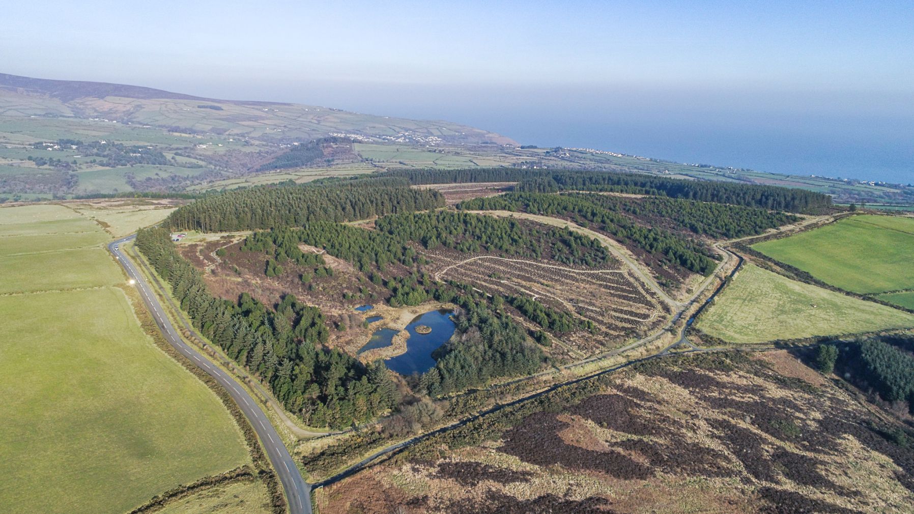 Find out more about our forests - Biosphere