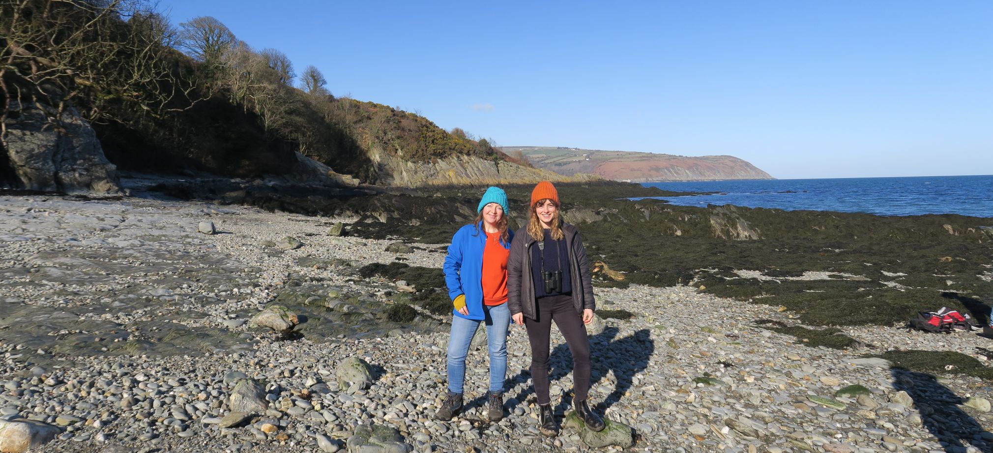 Manx blue carbon project is launched - Biosphere