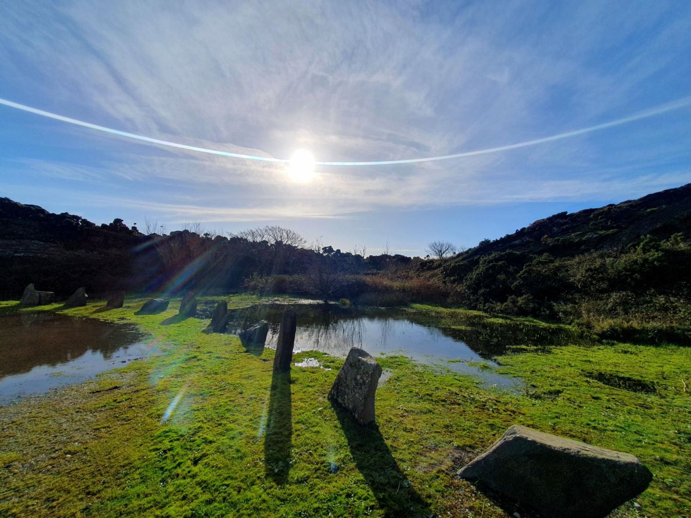 Creative Grants Announced to Celebrate the Manx Language - Biosphere