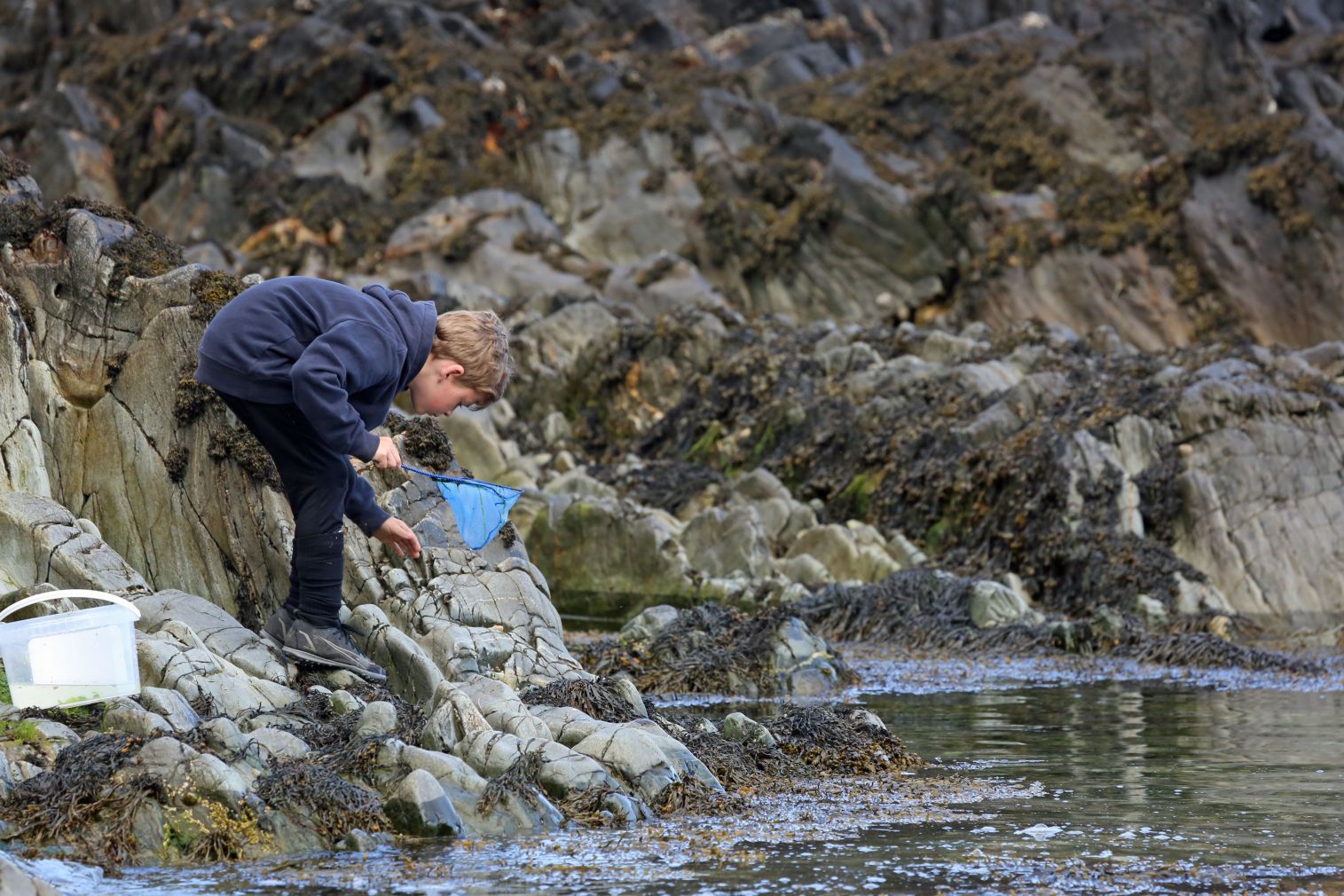 Young Nature Writer 2023 - Biosphere
