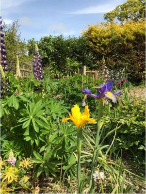 #CloserToNature with David Killip - Biosphere