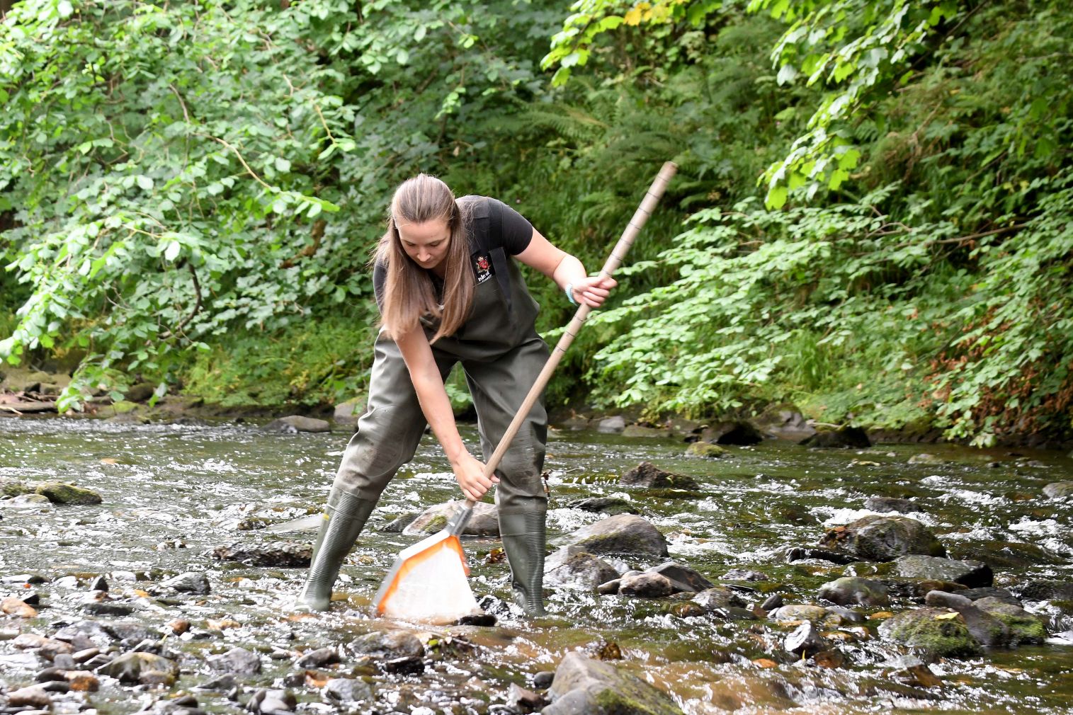 The importance of river water quality monitoring - Biosphere