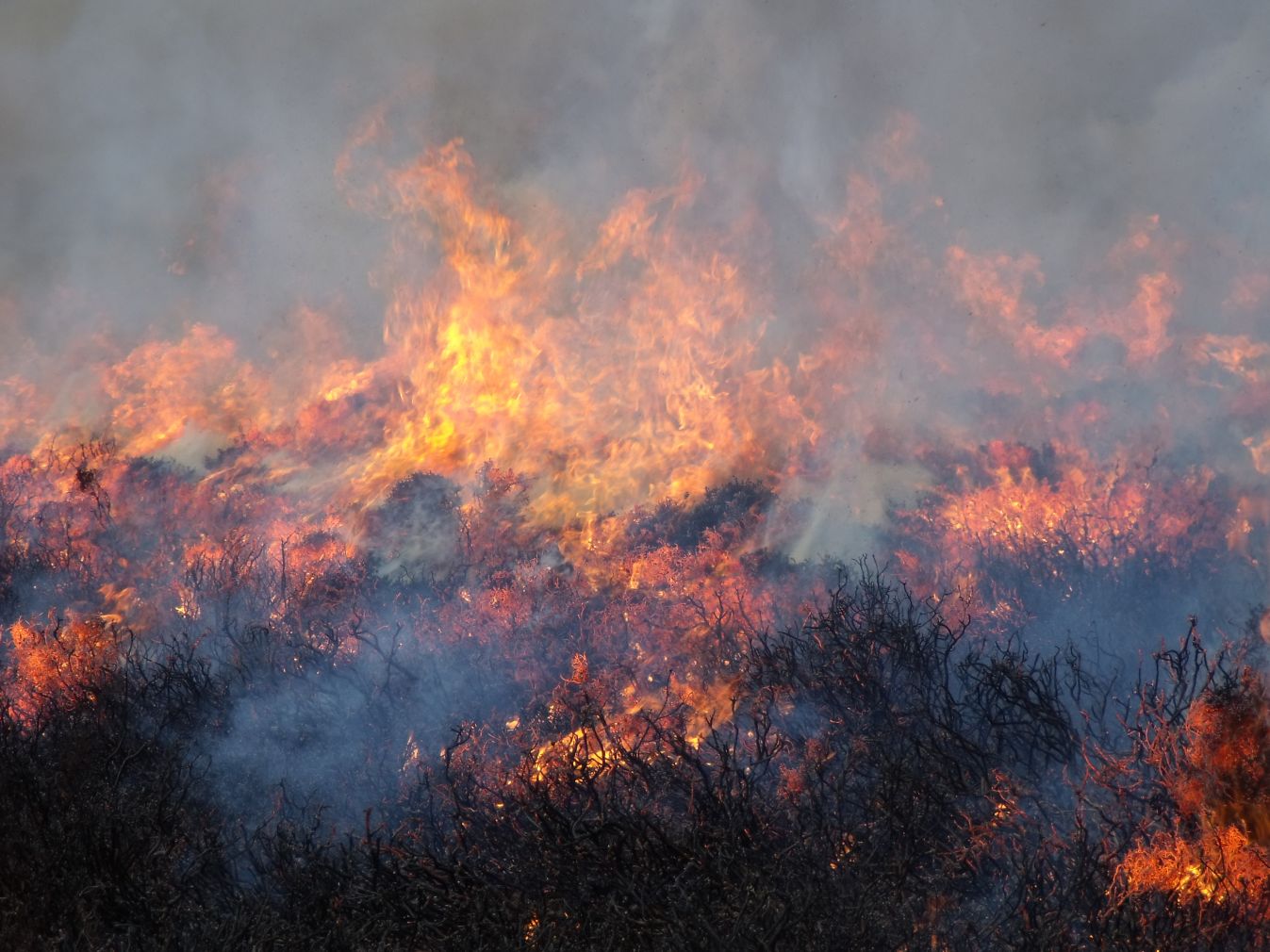 Avoid wildfires in our Biosphere - Biosphere