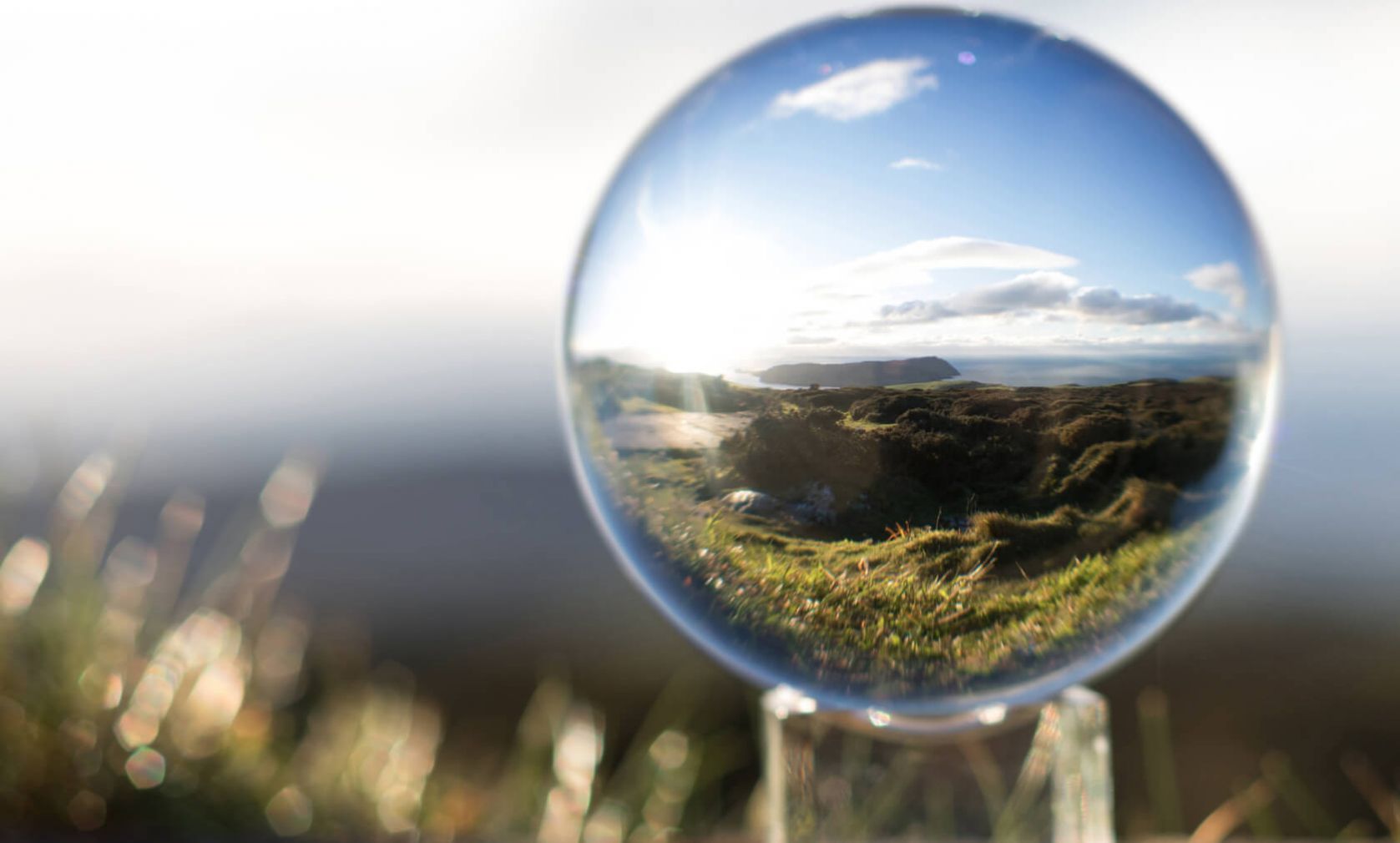 'Nature Through a Lens' event showcases Island's natural wonders ...