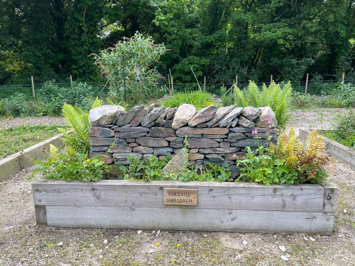 Schools to celebrate UNESCO Biosphere Isle of Man - Biosphere