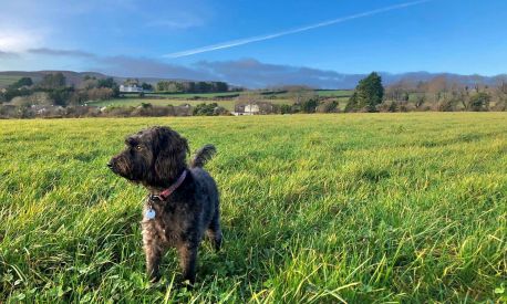 Saturday Stroll with Neil Morris - Biosphere