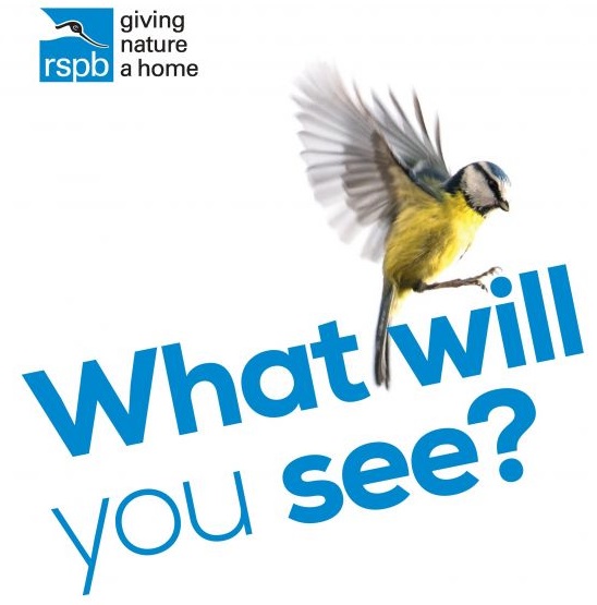 Join in the RSPB's Big Garden Birdwatch - Biosphere