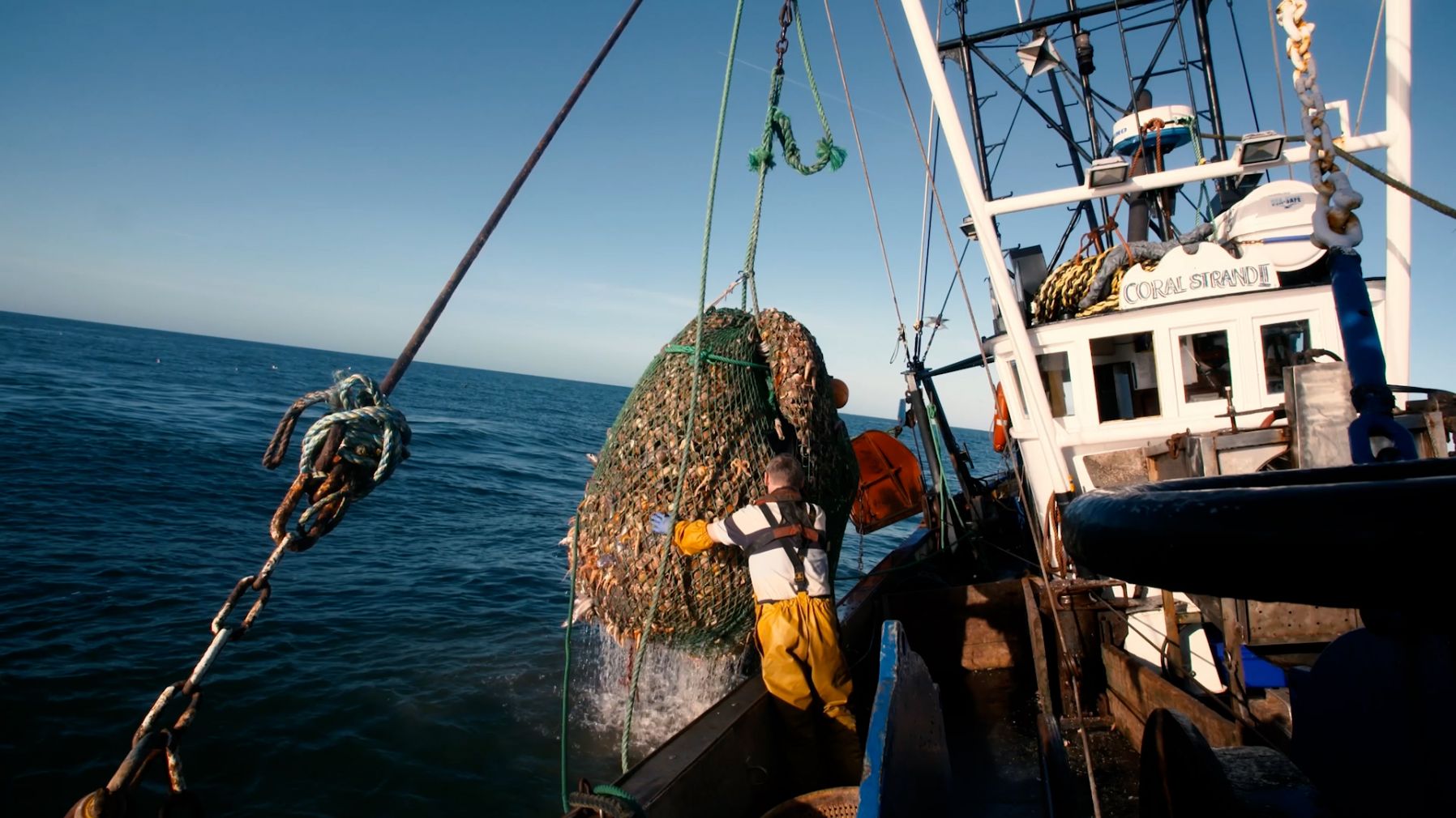 Peel and sea - Biosphere