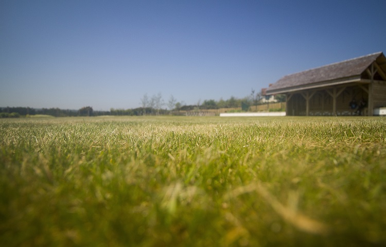 The Freedom Field: A natural haven - Biosphere