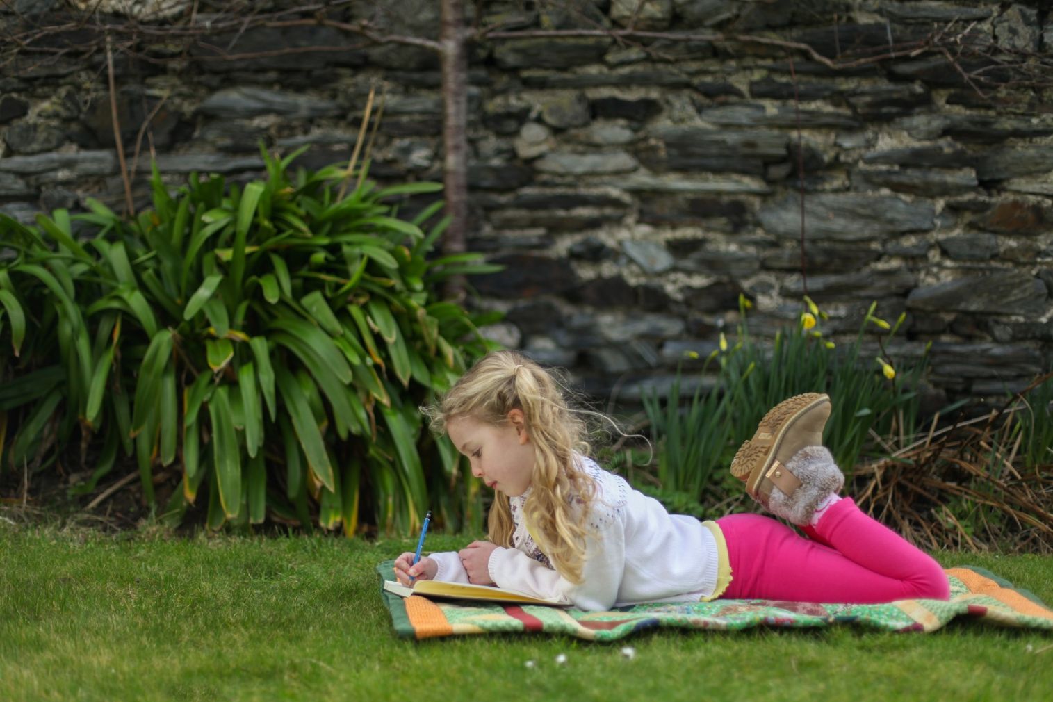 Young Nature Writer 2022 launched - Biosphere
